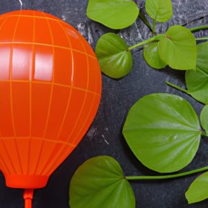 What Color is Your Parachute Flower Exercise: Exploring the Benefits of ...