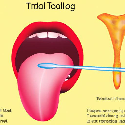 What Does a Healthy Tonsil Look Like? Exploring the Anatomy and Tips ...