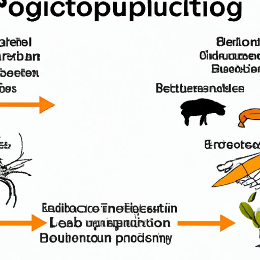 What Does Biotic Mean in Science? Exploring Its Impact on Ecosystems ...