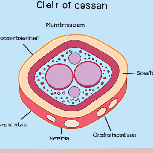 What Does Cell Mean in Science? Exploring the Role of Cells in Biology ...