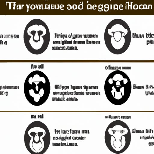 Exploring What Does Homo Mean in Science: Investigating Its Role in ...