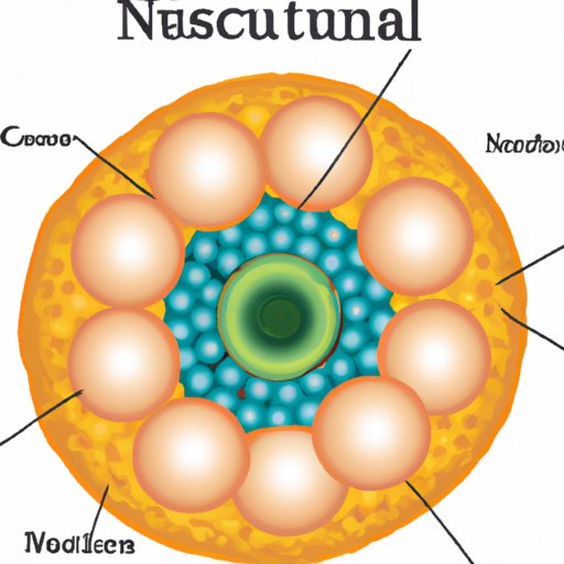What Does Nucleus Mean in Science? Exploring the Role of the Nucleus in ...