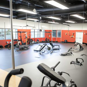 What Does Open Gym Mean? A Comprehensive Guide for Fitness Enthusiasts ...