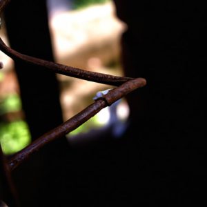 What Does Raw Mean in Photography? A Comprehensive Guide - The ...