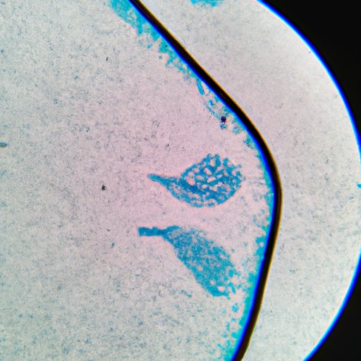 Exploring the Science Behind Crest: A Comprehensive Guide - The ...