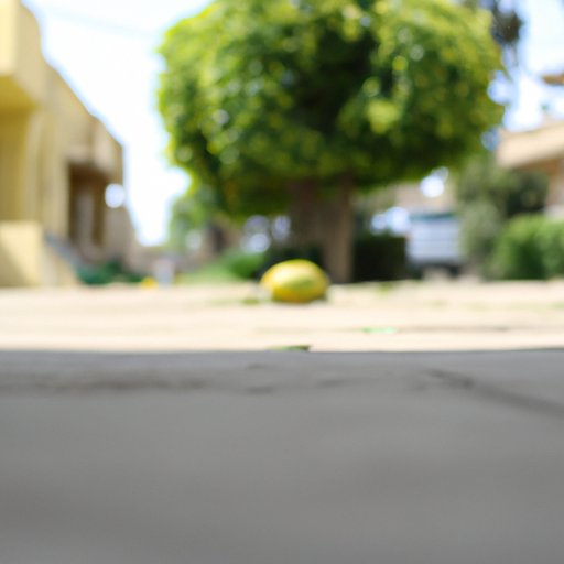 Understanding Depth of Field in Photography: Benefits and Tips for ...