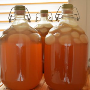 What is Kombucha Culture? A Comprehensive Guide to Benefits and Making ...