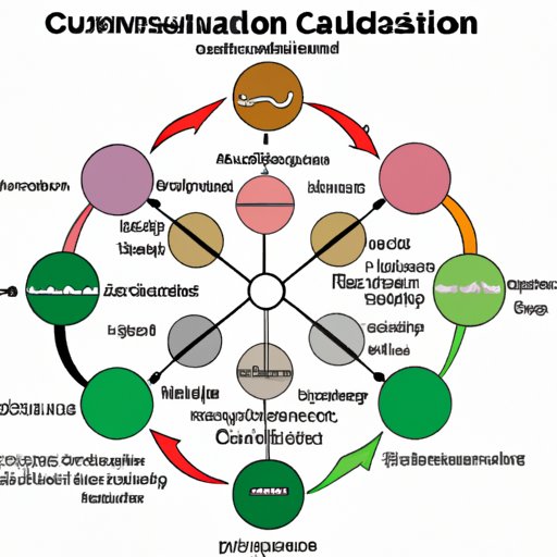 Mutualism in Environmental Science: Exploring the Benefits and Impact ...