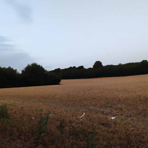 Exploring Naturalism in Literature: Characteristics, Origins, and ...