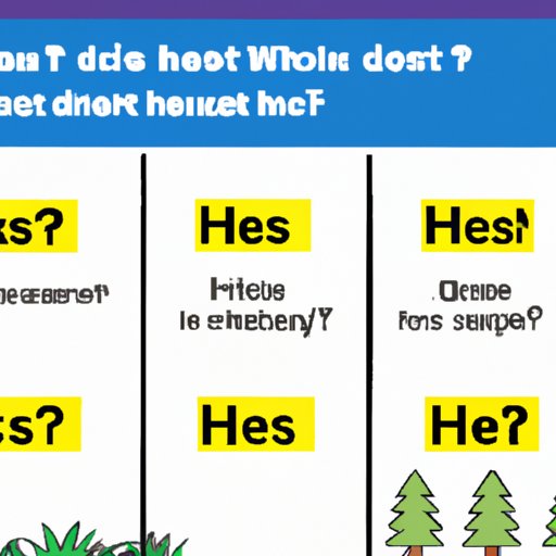 Hiset Science Test Overview Strategies And Sample Questions The