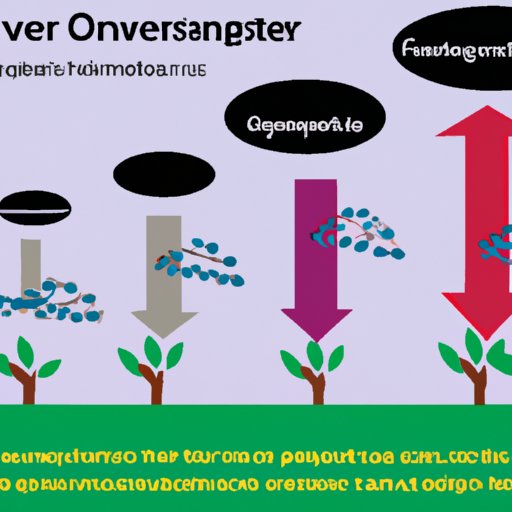 Overshoot in Environmental Science: Causes, Effects and Strategies for ...