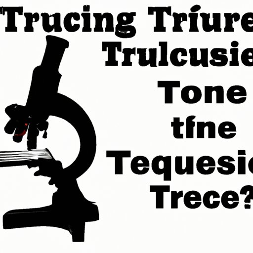 What Is True Science? Exploring the Definition and Philosophical ...