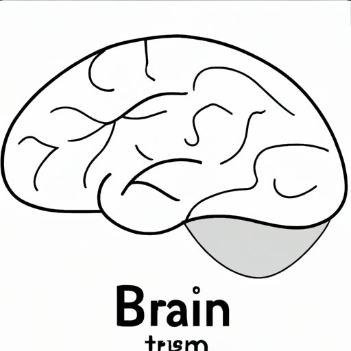 What Part of the Brain Controls Imagination? – Exploring the ...