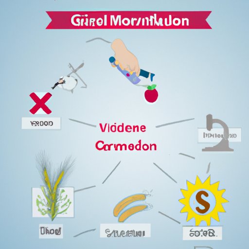 Exploring the Technologies Used in Genetically Modified Foods - The ...
