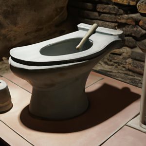 The Fascinating History Behind the Invention of the Toilet - The ...