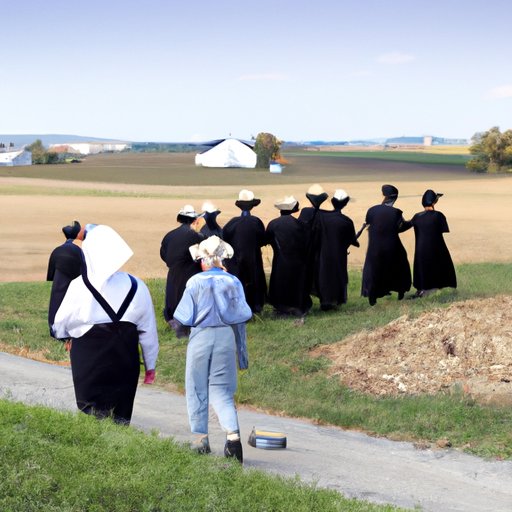 The Origin of Amish Culture: Tracing the Roots of an Enduring People ...