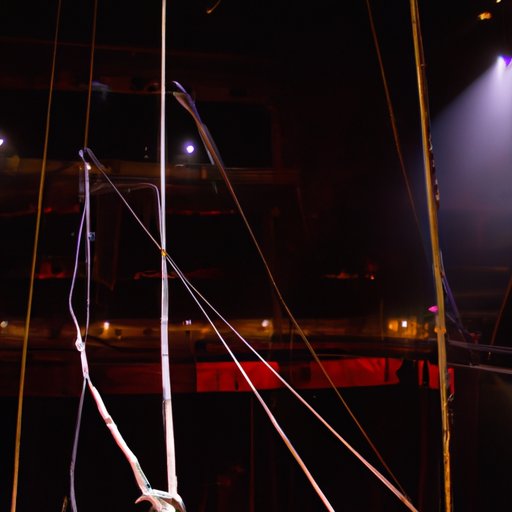 Where do Trapeze Artist Perform? Exploring the Different Venues and ...