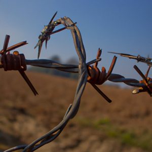 The Invention of Barbed Wire: A History of Its Development and Impact ...