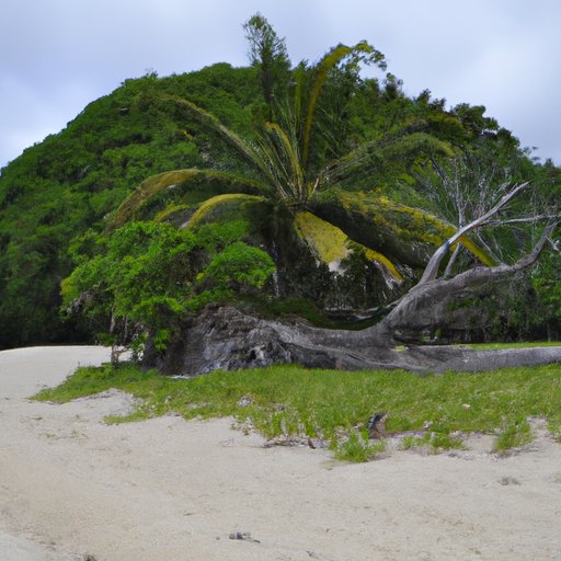 Where Was Castaway Movie Filmed? A Guide to the Locations Used in the ...