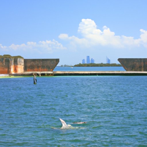 Exploring Where Was Flipper Movie Filmed: A Historic Look at the Iconic ...