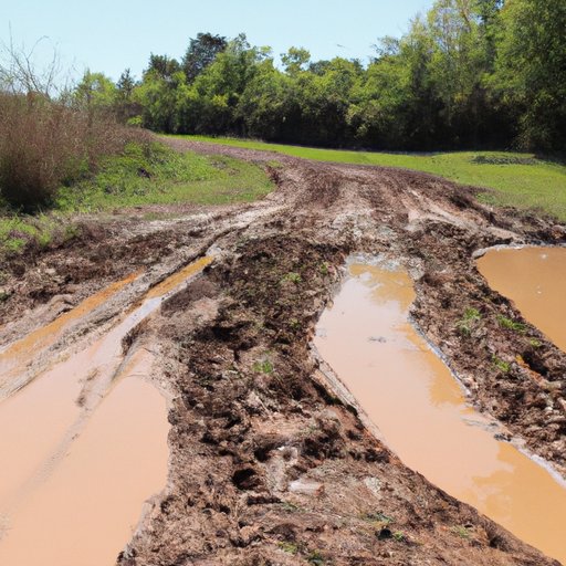 Exploring the Filming Locations of “Mud” – Where Was It Shot? - The ...