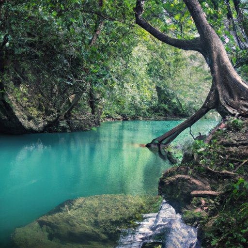 Where Were Tarzan Movies Filmed? Exploring the Real-Life Locations ...