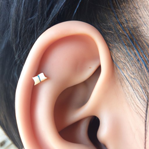 Exploring the Artistic and Psychological Legacy of Vincent Van Gogh’s ...