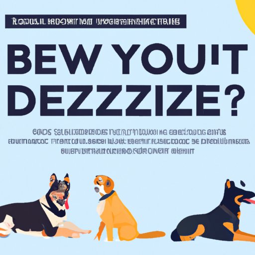 Finding the Right Dog for You: Exploring Which Dog Are You Buzzfeed ...