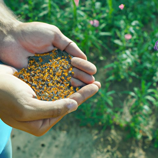 Who Invented Fertilizer? Exploring the History and Impact of ...