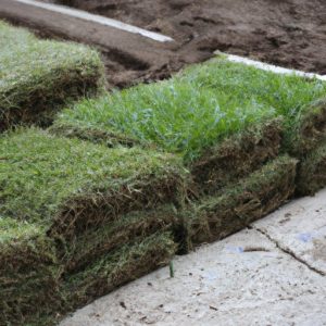 Understanding How Sod Works: A Step-by-Step Guide and Comparison to ...