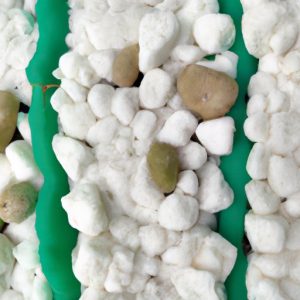 Maximizing Crop Yields with Rockwool Seed Starting: A Beginner’s Guide ...