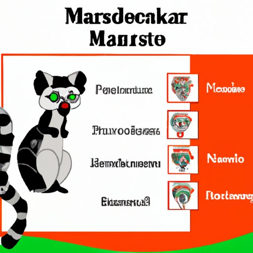 Which Madagascar Character Are You? Discover Your Inner Animal - The ...